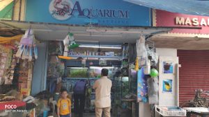 The 16 Best Aquariums in Mumbai | BestMumbai